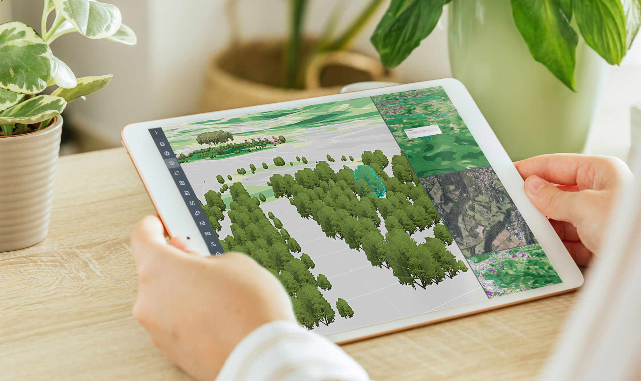 WiseTown Dashboard del Verde Urbano - WiseTown